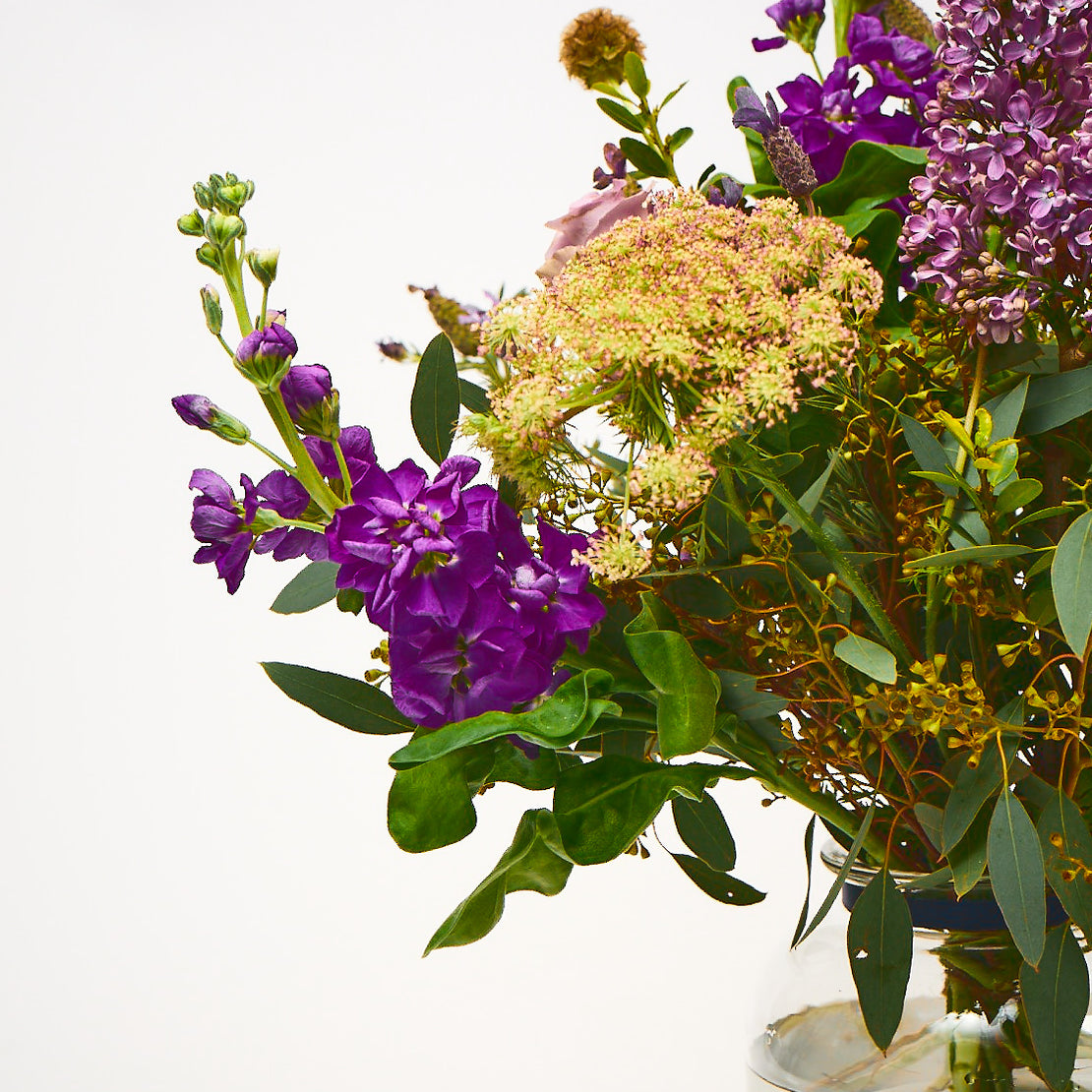 Flowers – Northern Flower