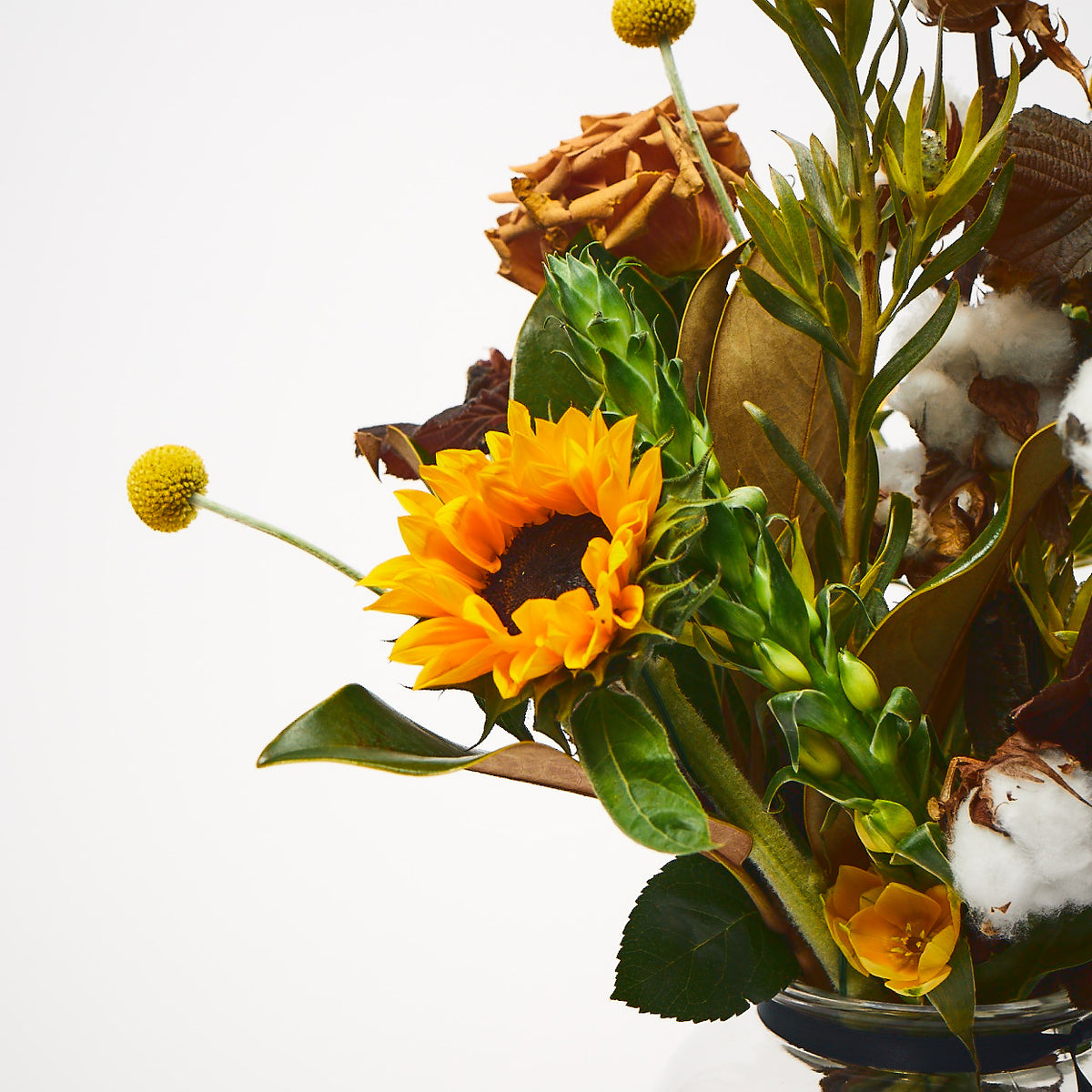 Flowers – Northern Flower