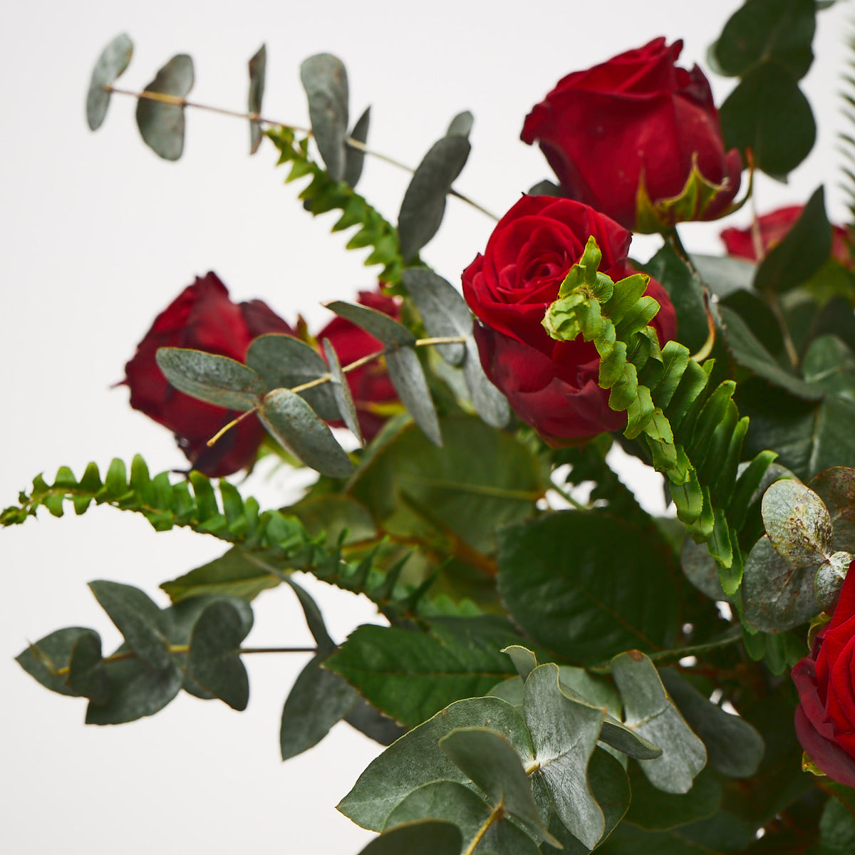 Flowers – Northern Flower