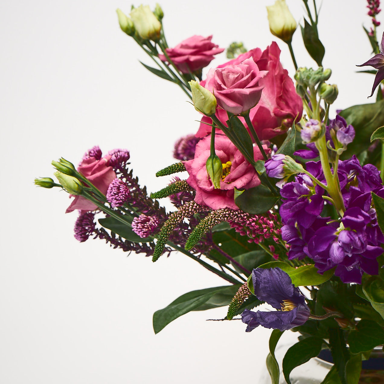 Flowers – Northern Flower